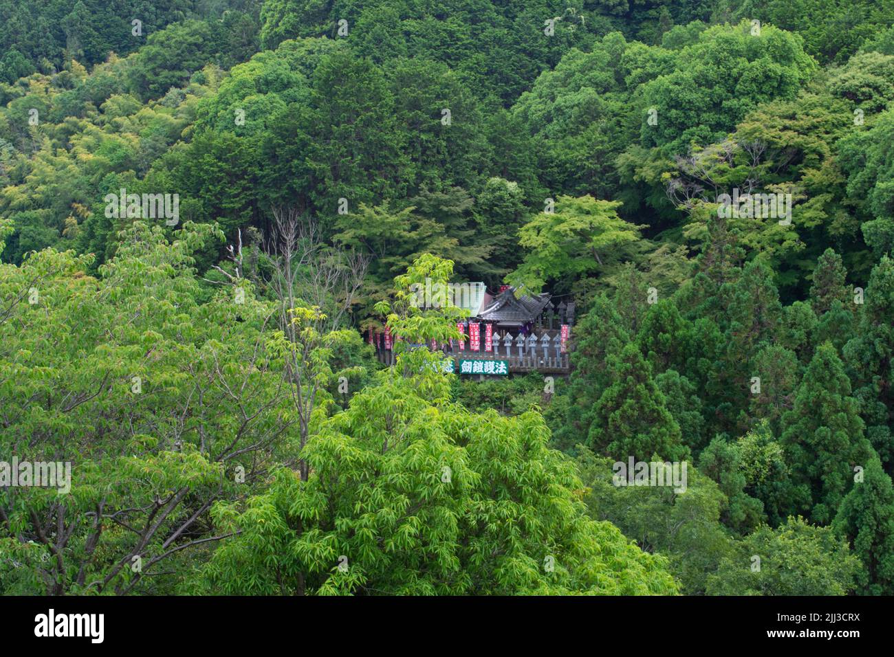 Traditional temple - shrine with tree foliage in Japan Stock Photo - Alamy
