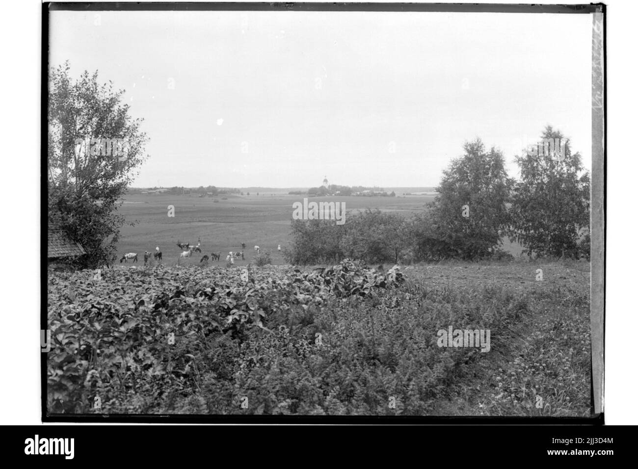 Into a distance Black and White Stock Photos & Images - Alamy