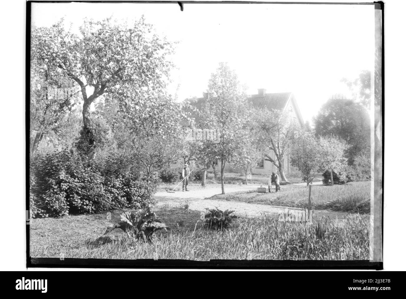 Workers work in wood Cut Out Stock Images & Pictures - Alamy