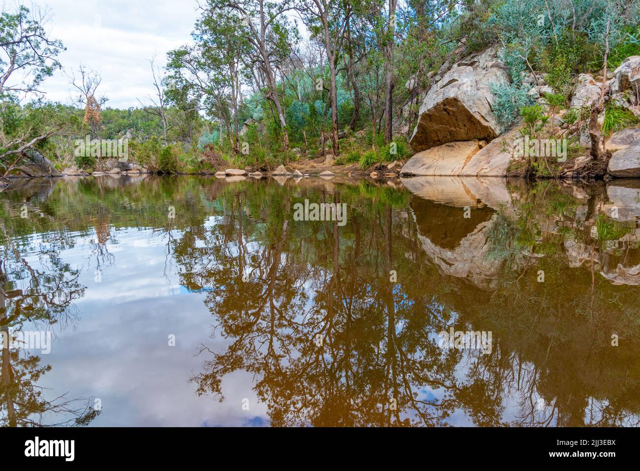 Stunning Australian bush landscape at Crows Nest Falls, Queensland ...