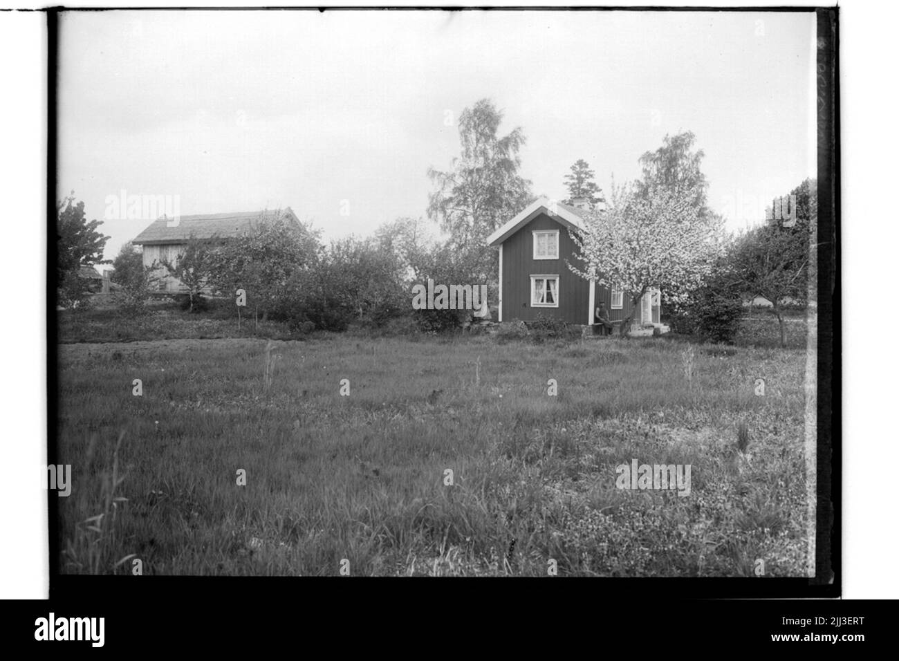 Jansson Black and White Stock Photos & Images - Alamy