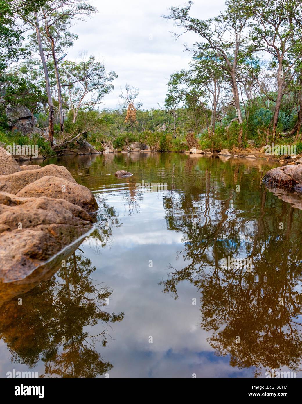 Stunning Australian bush landscape at Crows Nest Falls, Queensland ...