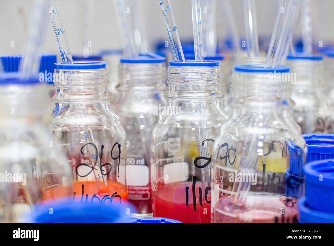 Glass flask with liquid in laboratory, close up photo Stock Photo - Alamy