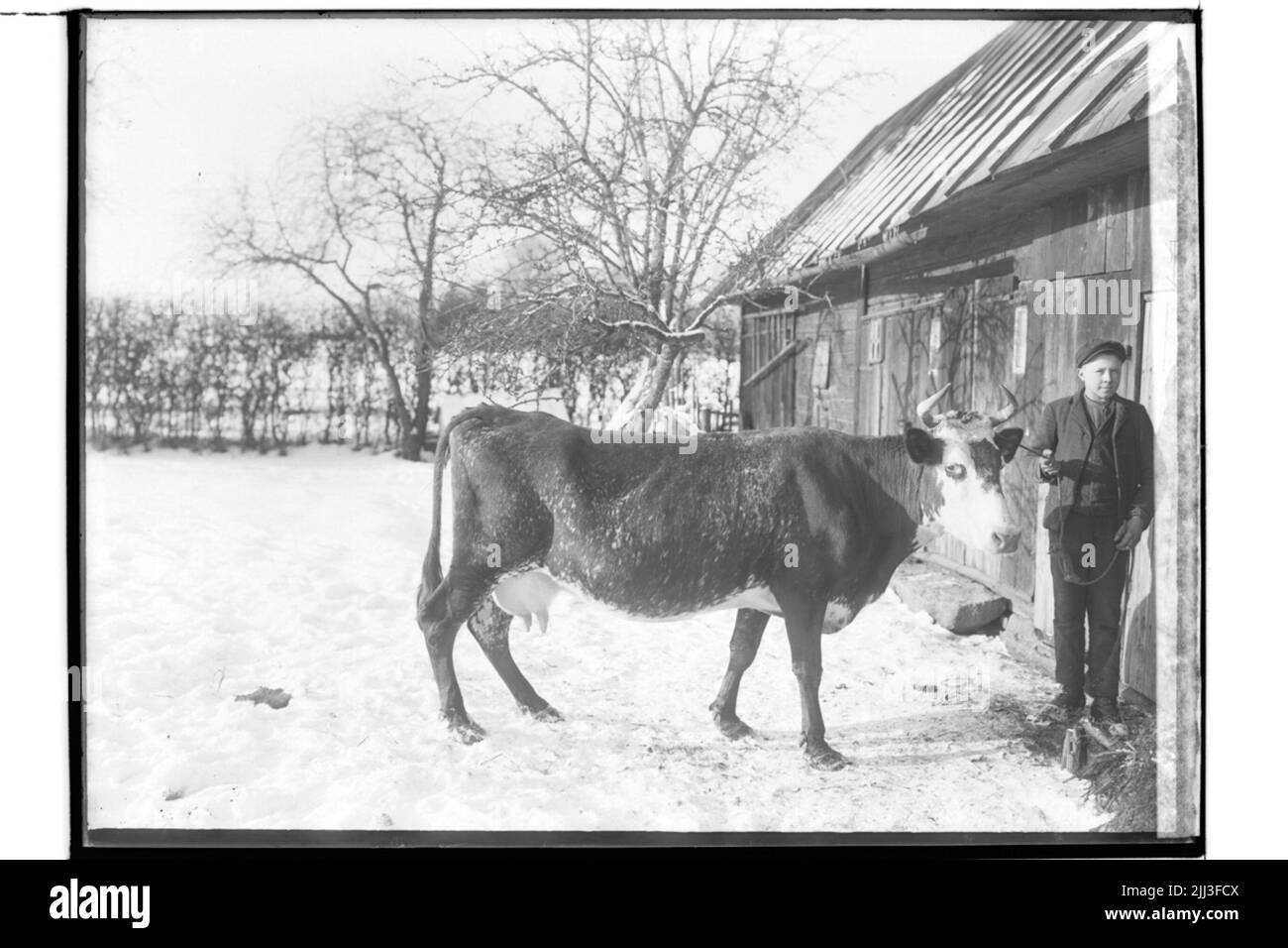 Kossa hi-res stock photography and images - Alamy