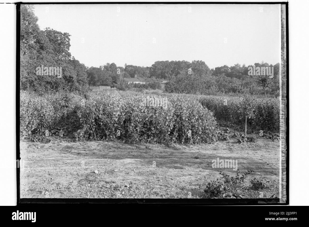 Steninge Castle, pealand.uppland Stock Photo - Alamy