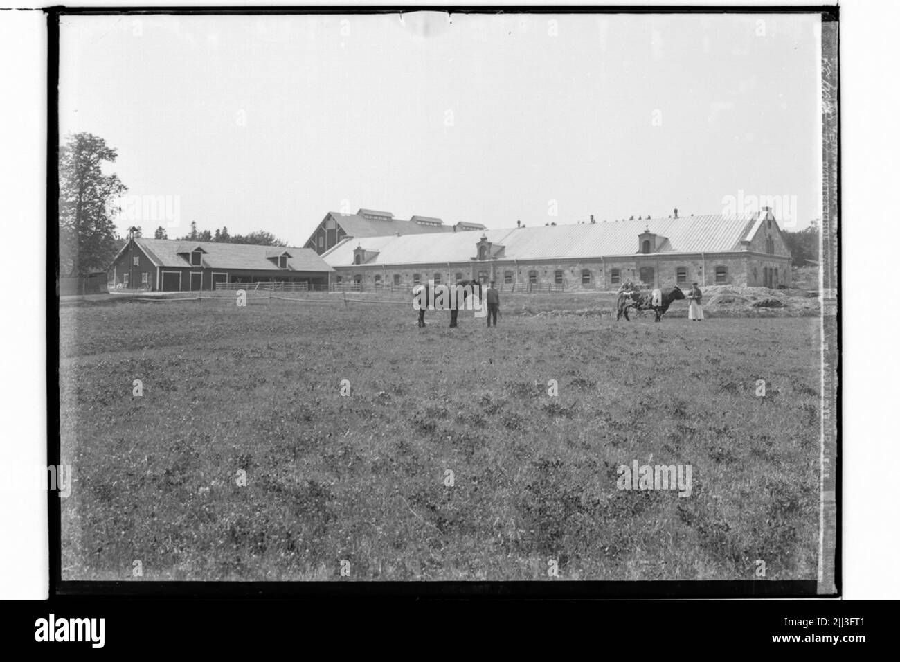Steninge Castle, large paved barn and economy buildings. A man with a ...