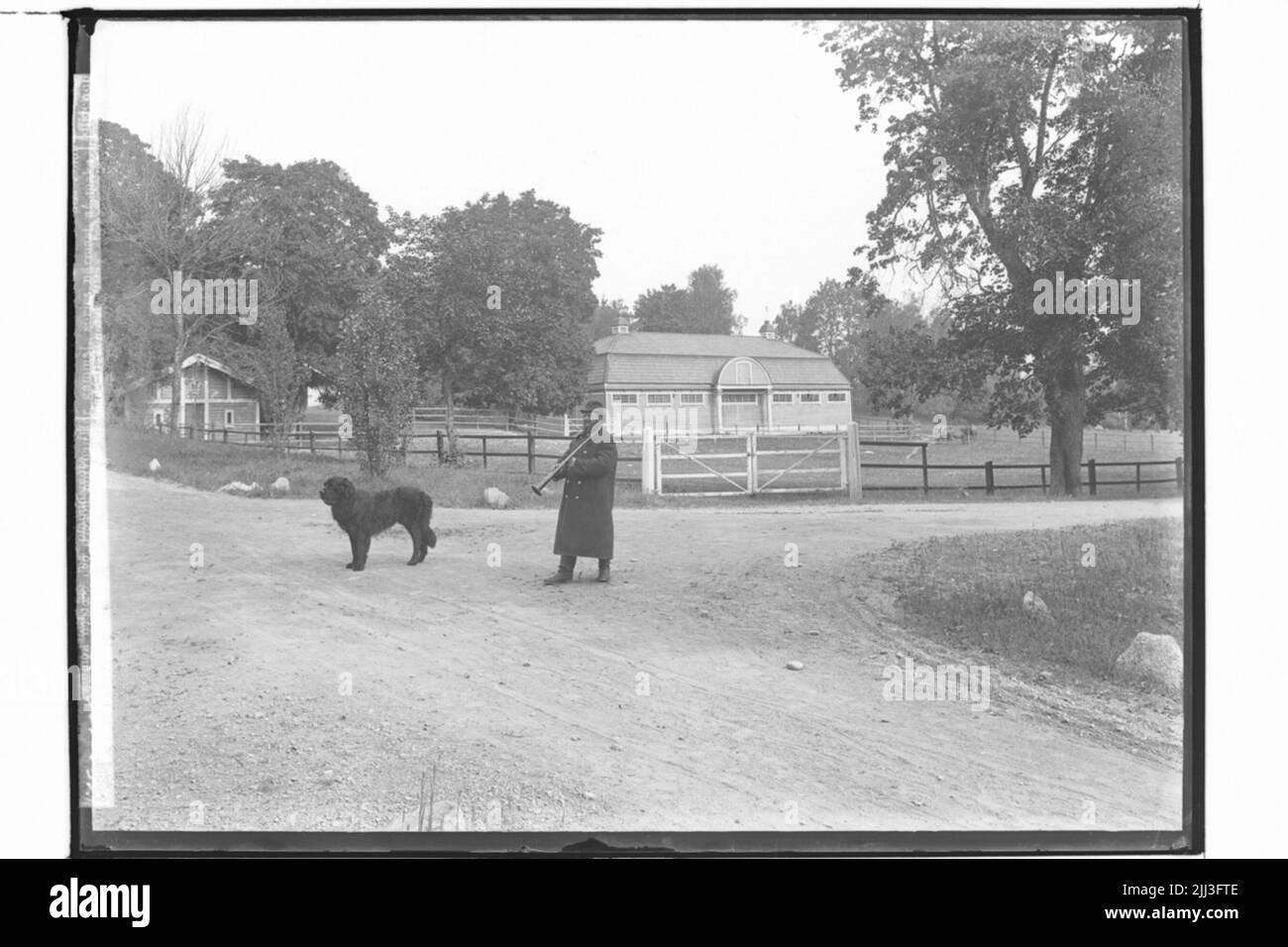 Property protection dog hi-res stock photography and images - Alamy