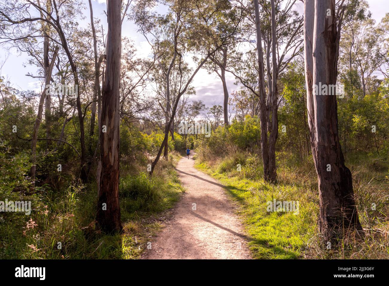 Bush walking hi-res stock photography and images - Alamy