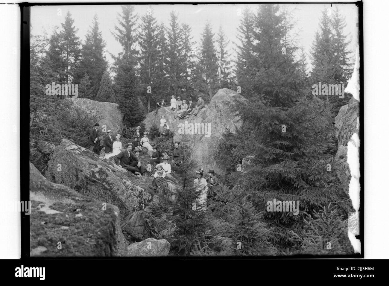 Forest Party with moving blocks, 21 people Stock Photo - Alamy
