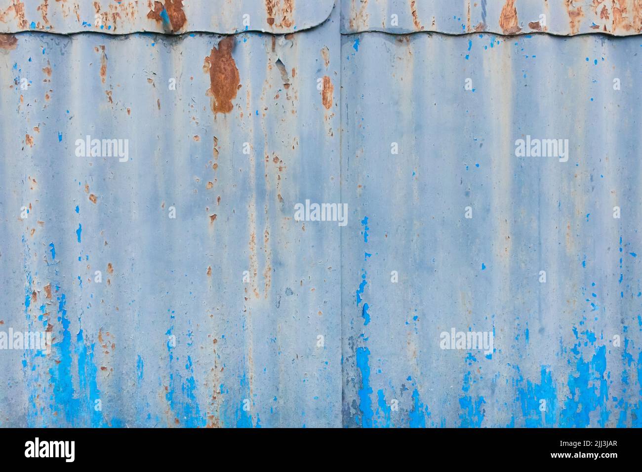 Corrugated metal in blue paint texture old fence background weathered ...