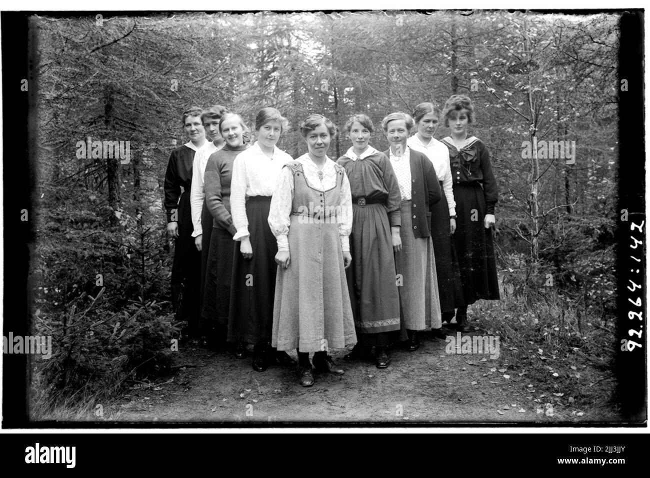 Trees in forest path Cut Out Stock Images & Pictures - Alamy