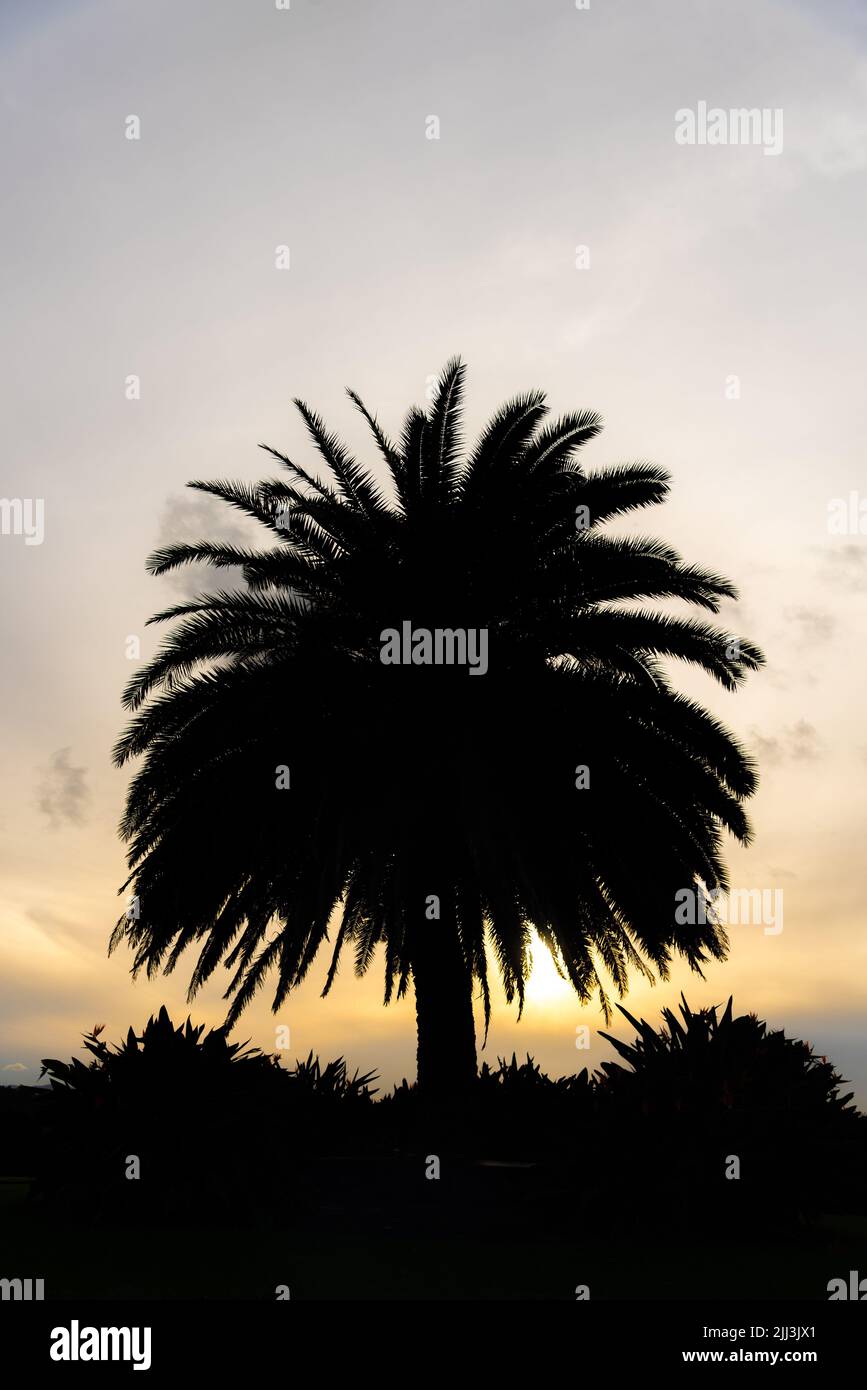 Stunning Australian bush landscape at Crows Nest Falls, Queensland ...