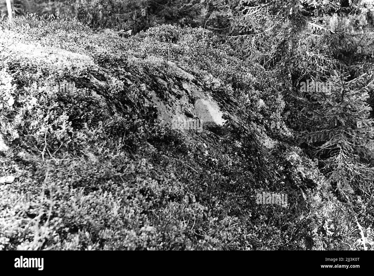 Giant pot in mountainous Stock Photo - Alamy