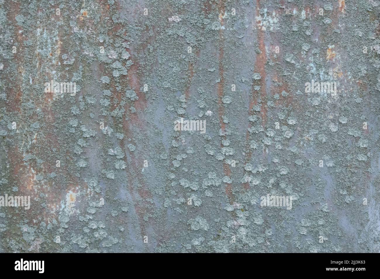 Old dirty mold texture weathered background fungus wall Stock Photo - Alamy