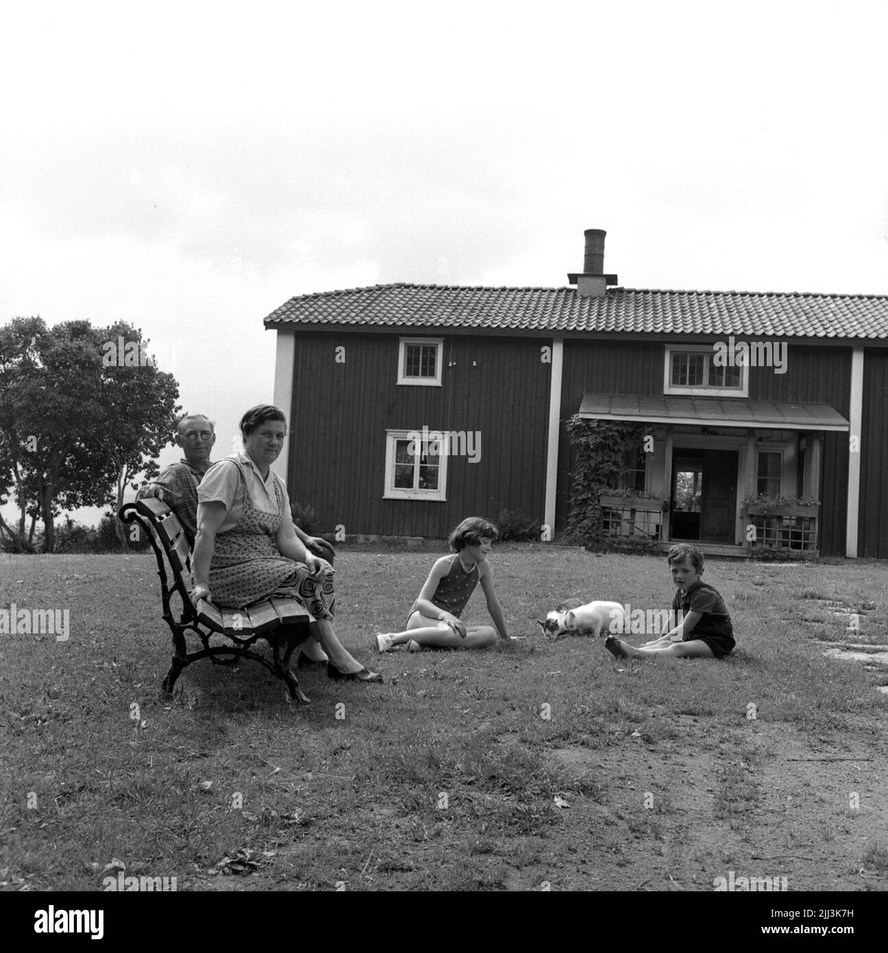 Residential building, family group four people and two cats in front of ...