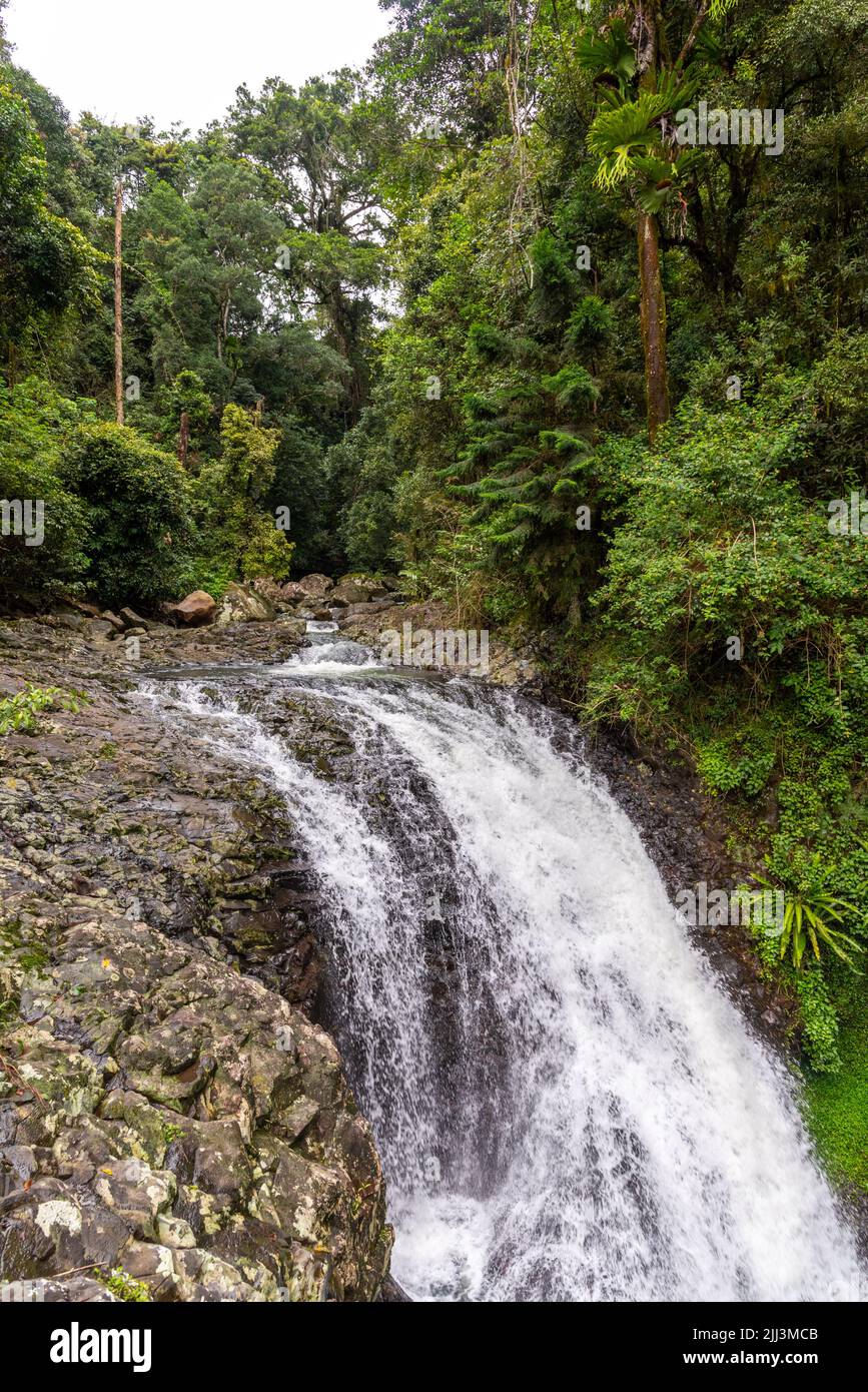 Cascading waterfall views in Springbrook National Park during autumn ...