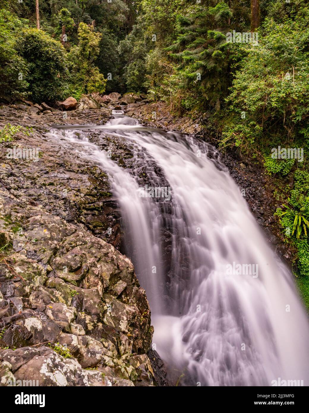 Cascading waterfall views in Springbrook National Park during autumn ...