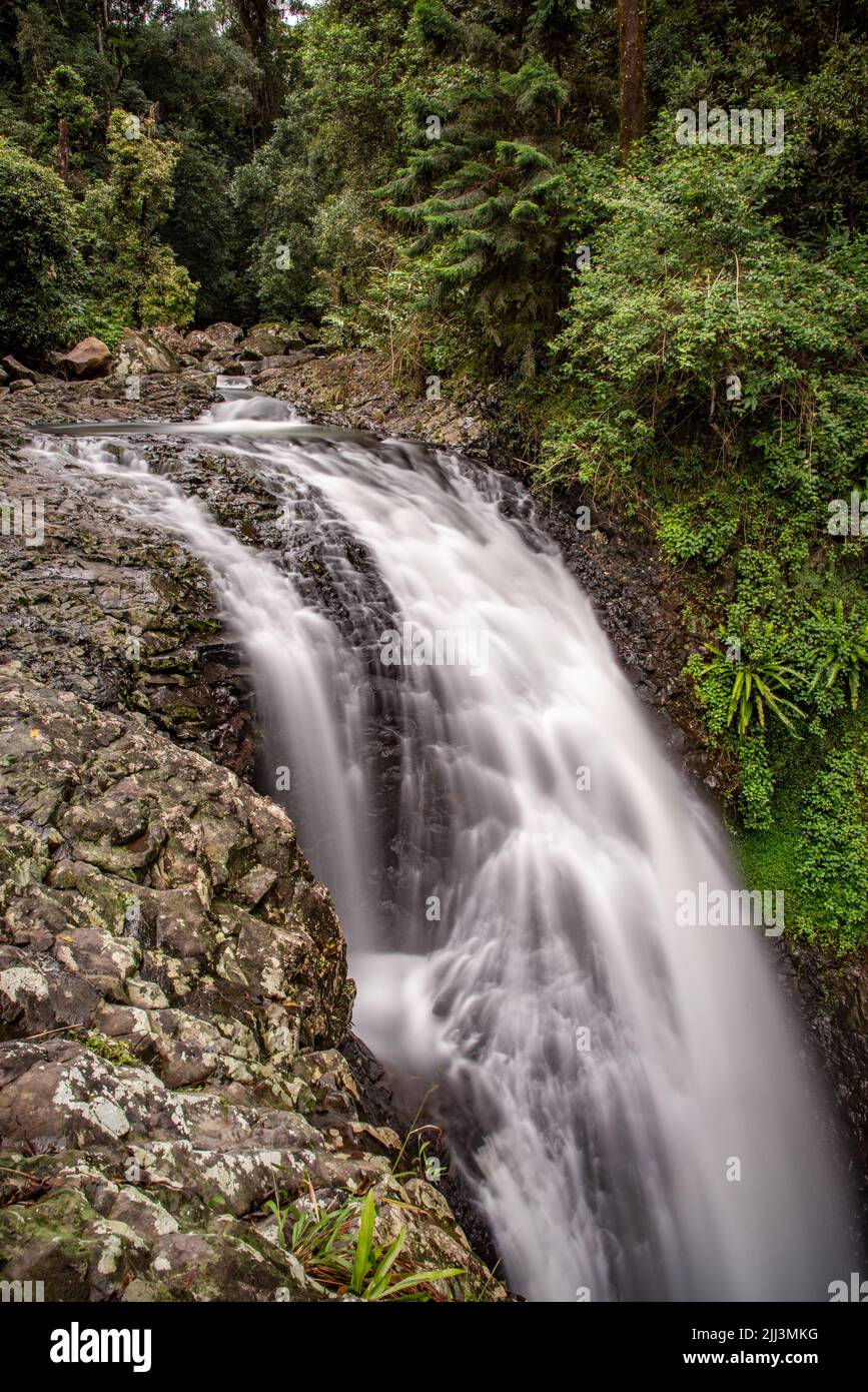 Gold coast waterfall hi-res stock photography and images - Alamy
