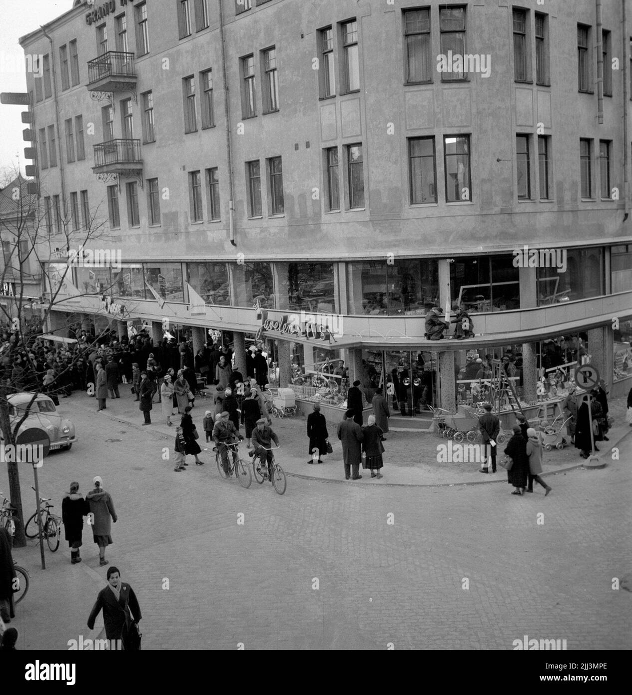 Open bud Black and White Stock Photos & Images - Alamy