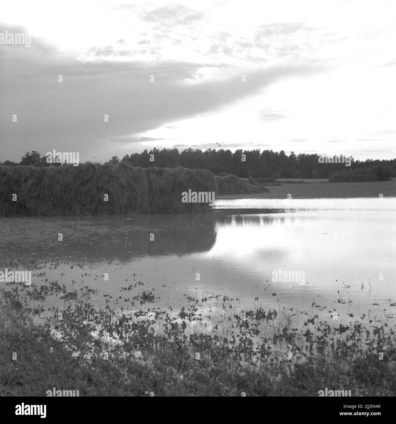 Disaster weather floods Black and White Stock Photos & Images - Alamy