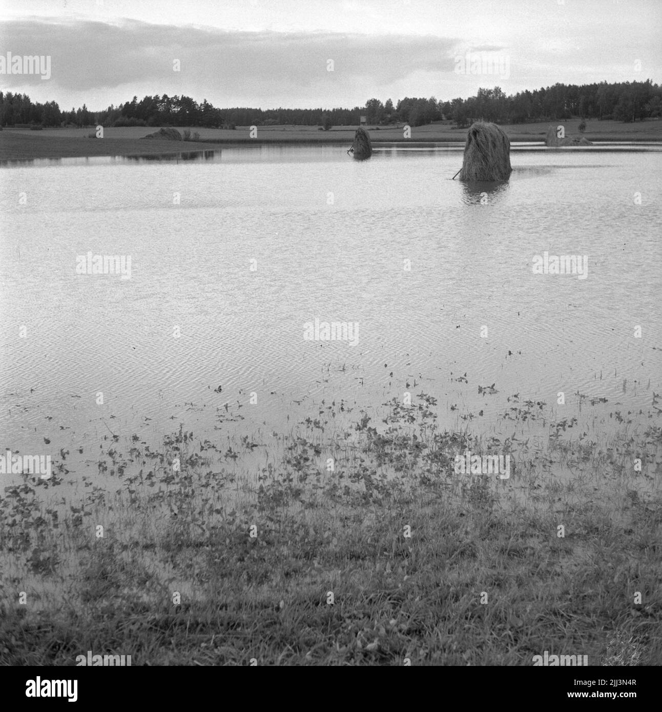 Record floods Black and White Stock Photos & Images - Alamy
