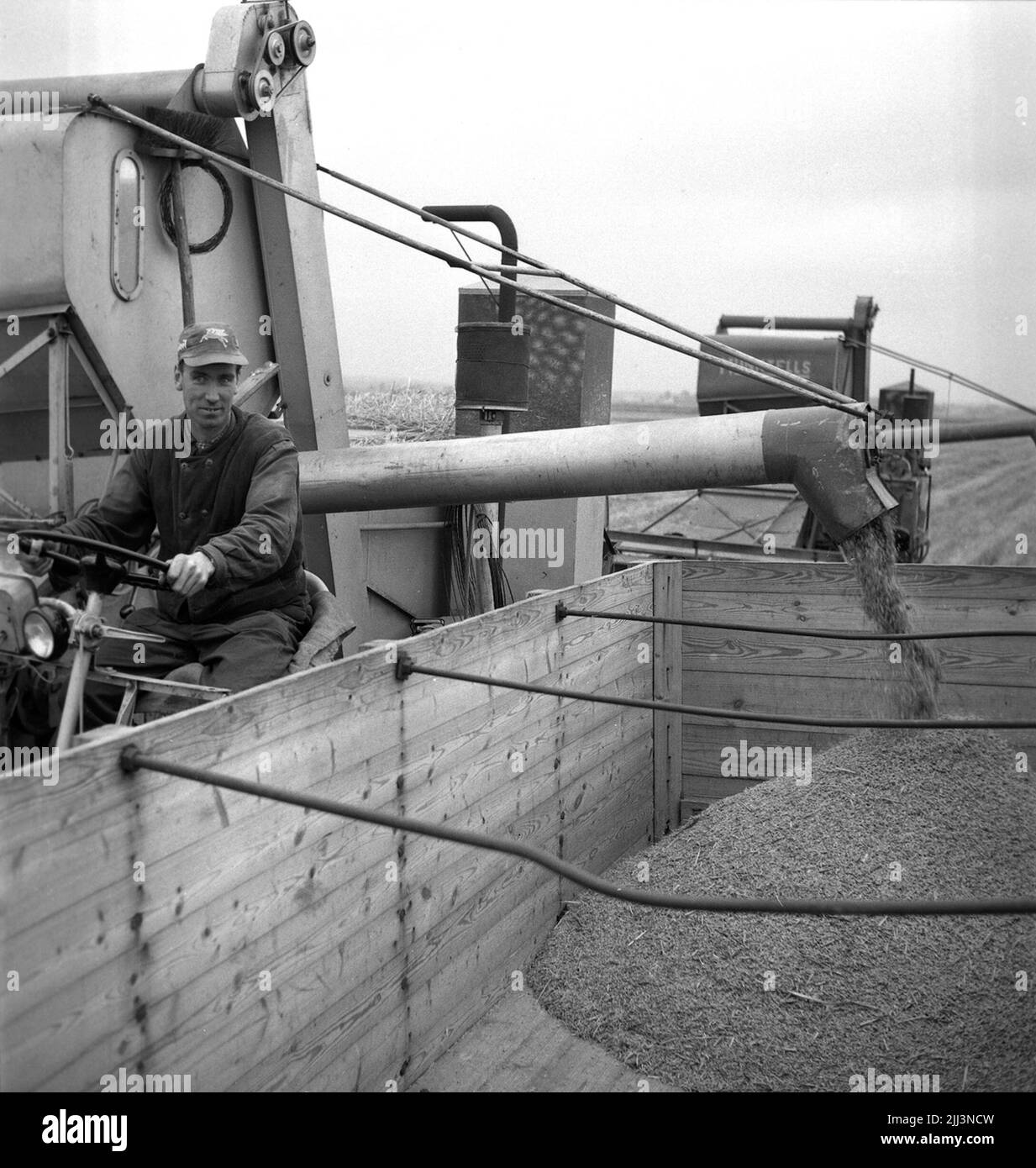 Week cycle Black and White Stock Photos & Images - Alamy