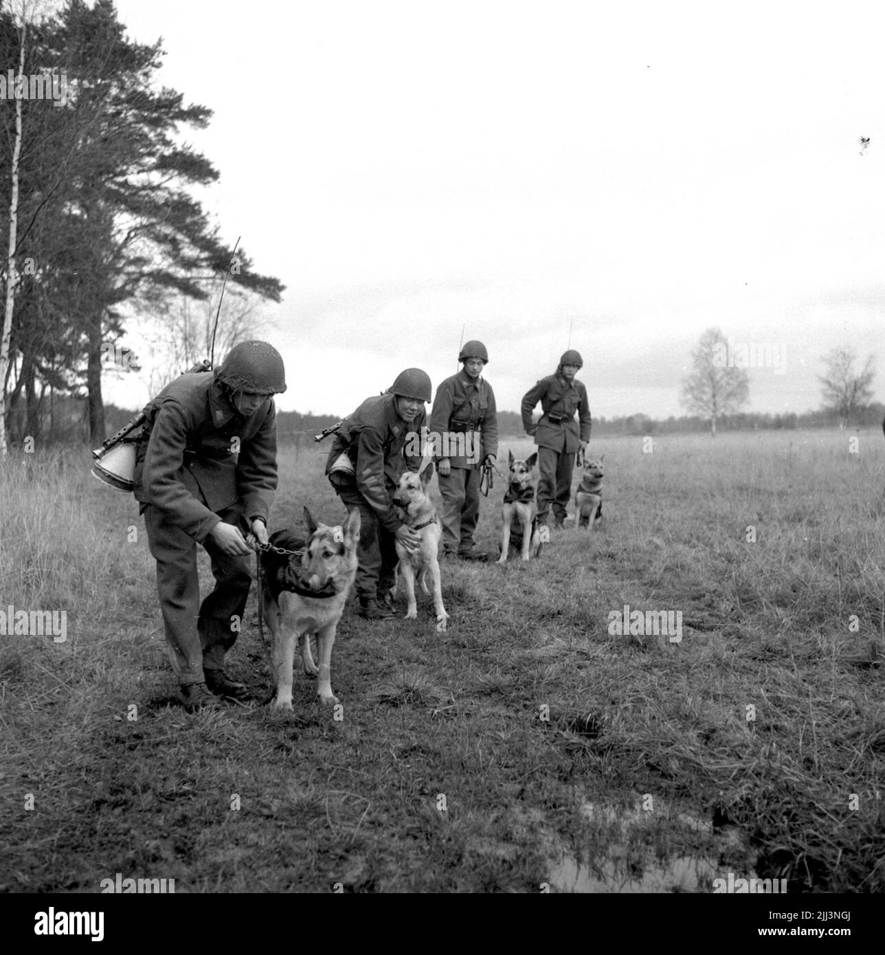 General and dogs at I 31 November 1958 Stock Photo - Alamy
