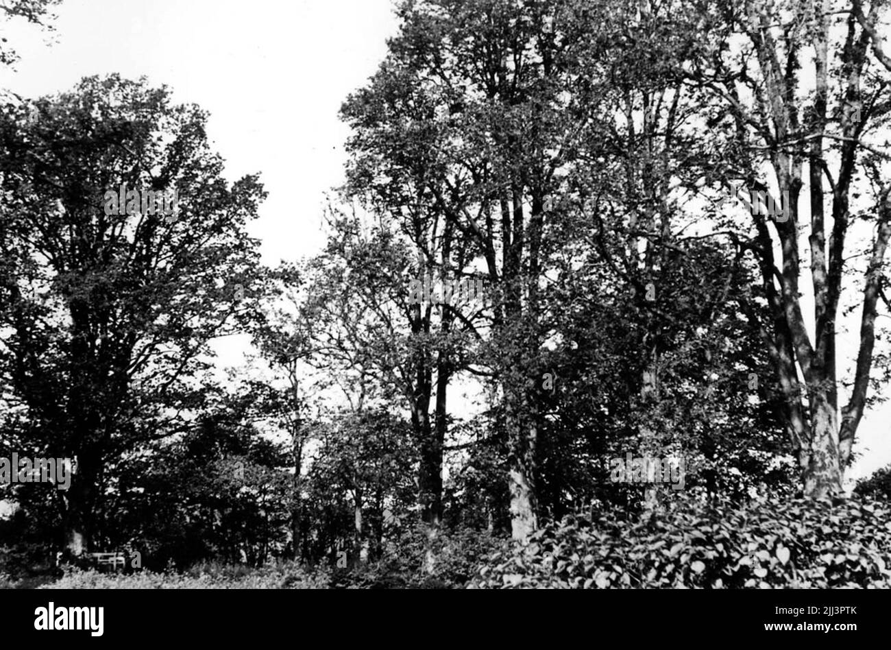 Parsonage garden hi-res stock photography and images - Alamy