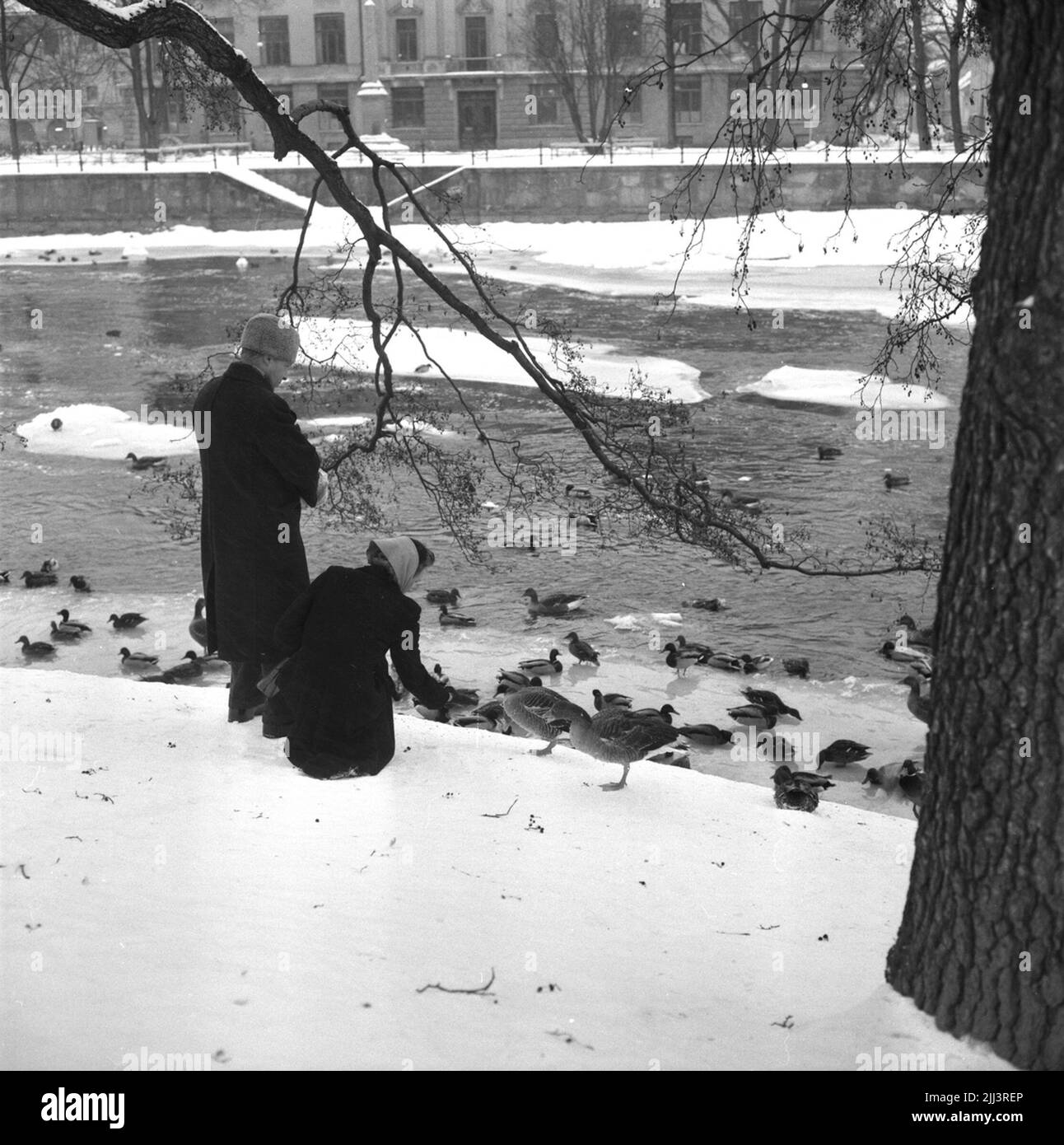 Winter landscape in january Black and White Stock Photos & Images - Alamy