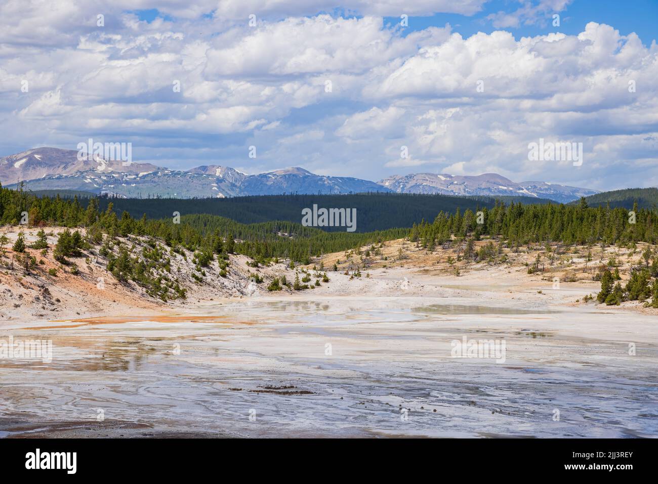 Sunny view of the landscape around Norris Geyser Basin in Yellowstone National Park at Wyoming ...