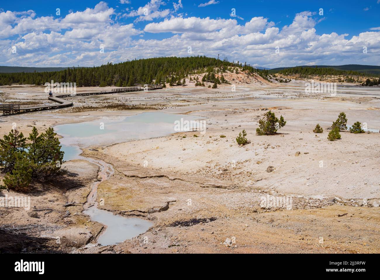 Sunny view of the landscape around Norris Geyser Basin in Yellowstone ...