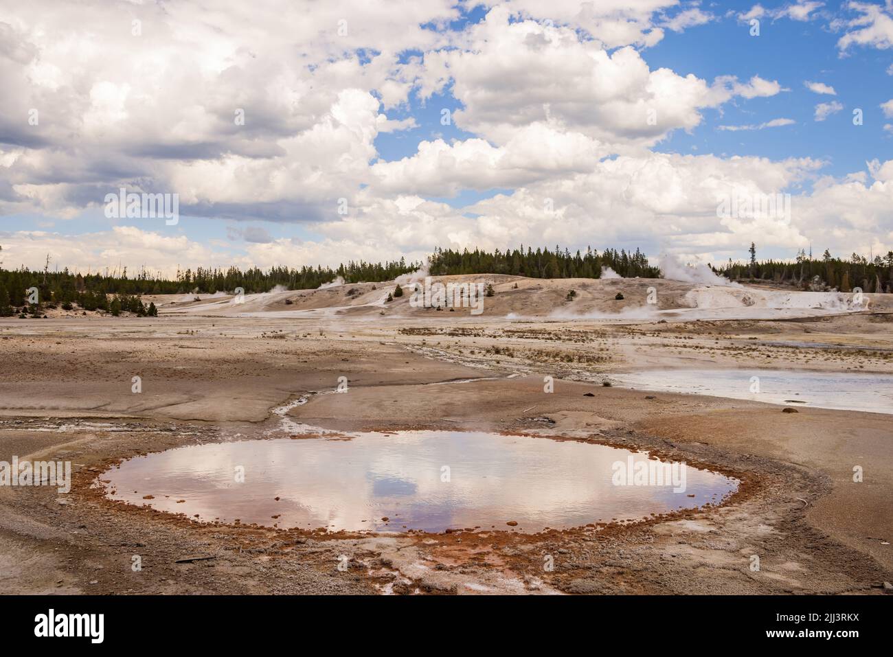 Sunny view of the landscape around Norris Geyser Basin in Yellowstone ...