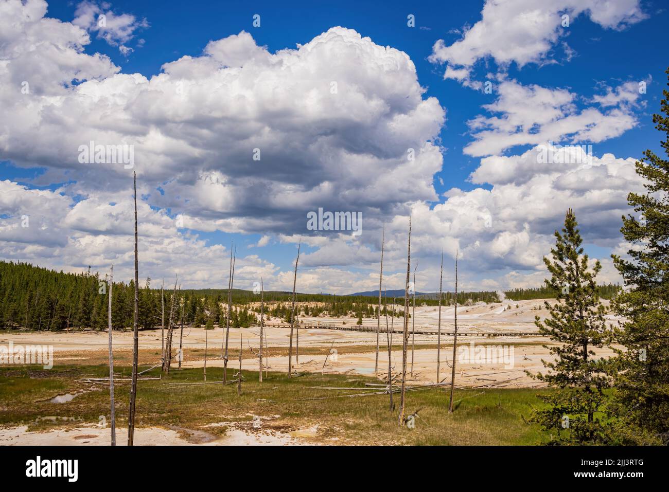 Sunny view of the landscape around Norris Geyser Basin in Yellowstone ...