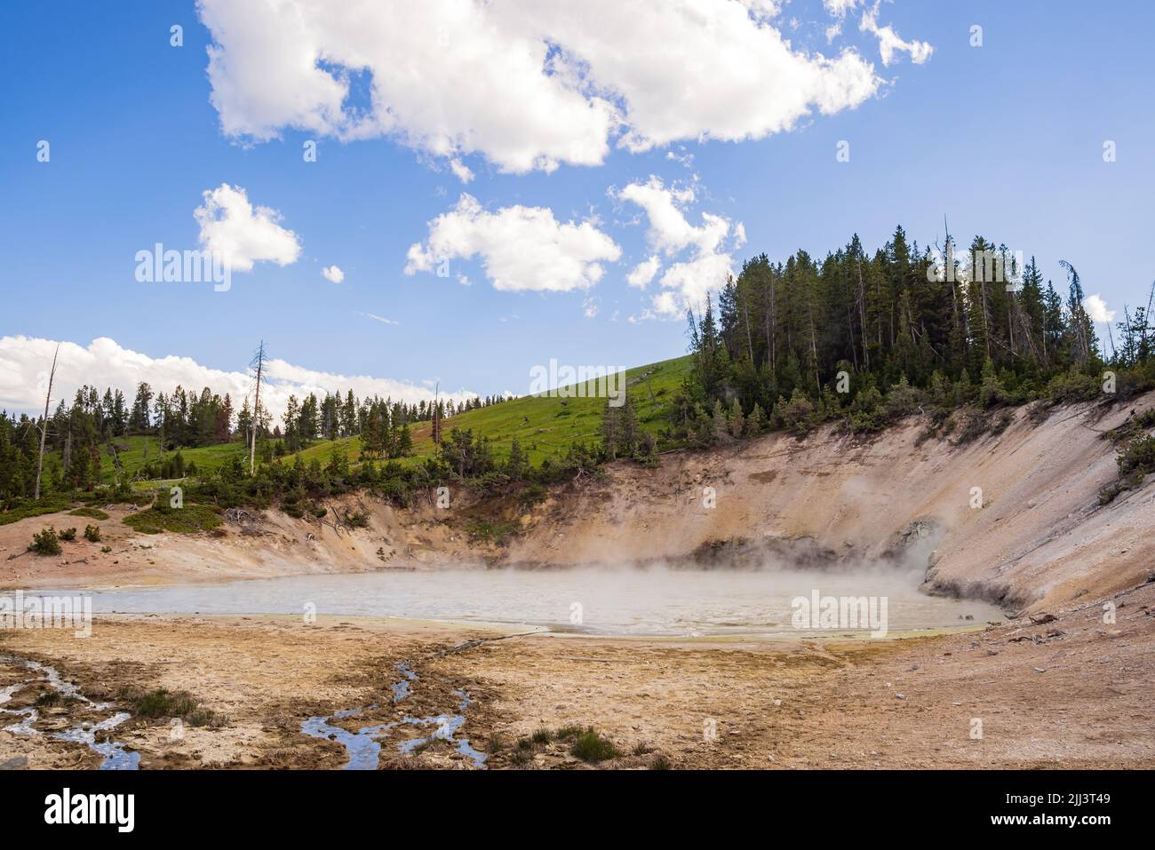 Sunny view of the landscape around Mud Volcano in Yellowstone National ...