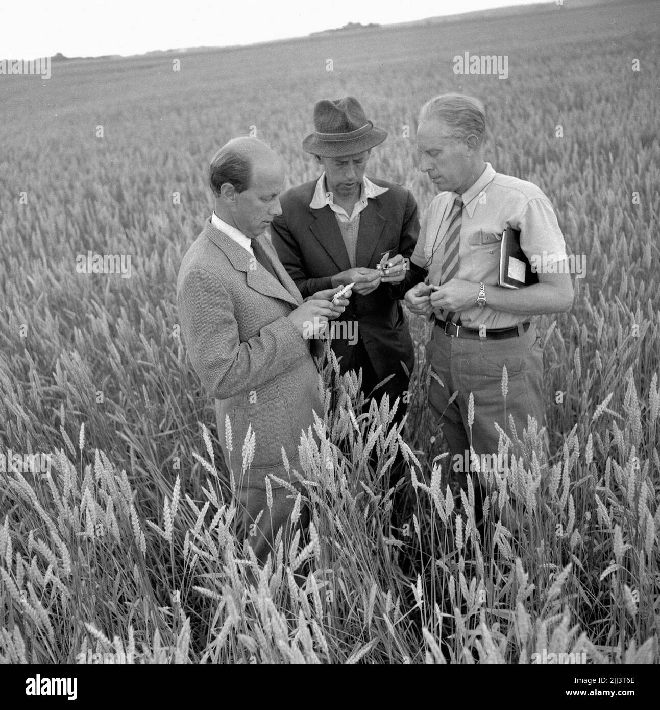 Control agriculture Black and White Stock Photos & Images - Alamy