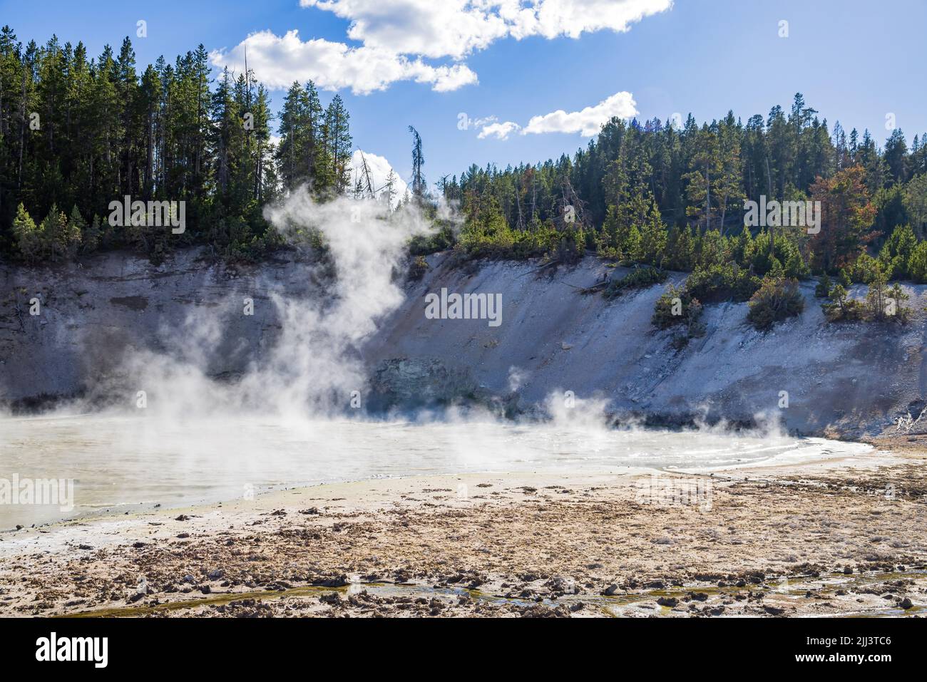 Sunny view of the landscape around Mud Volcano in Yellowstone National ...