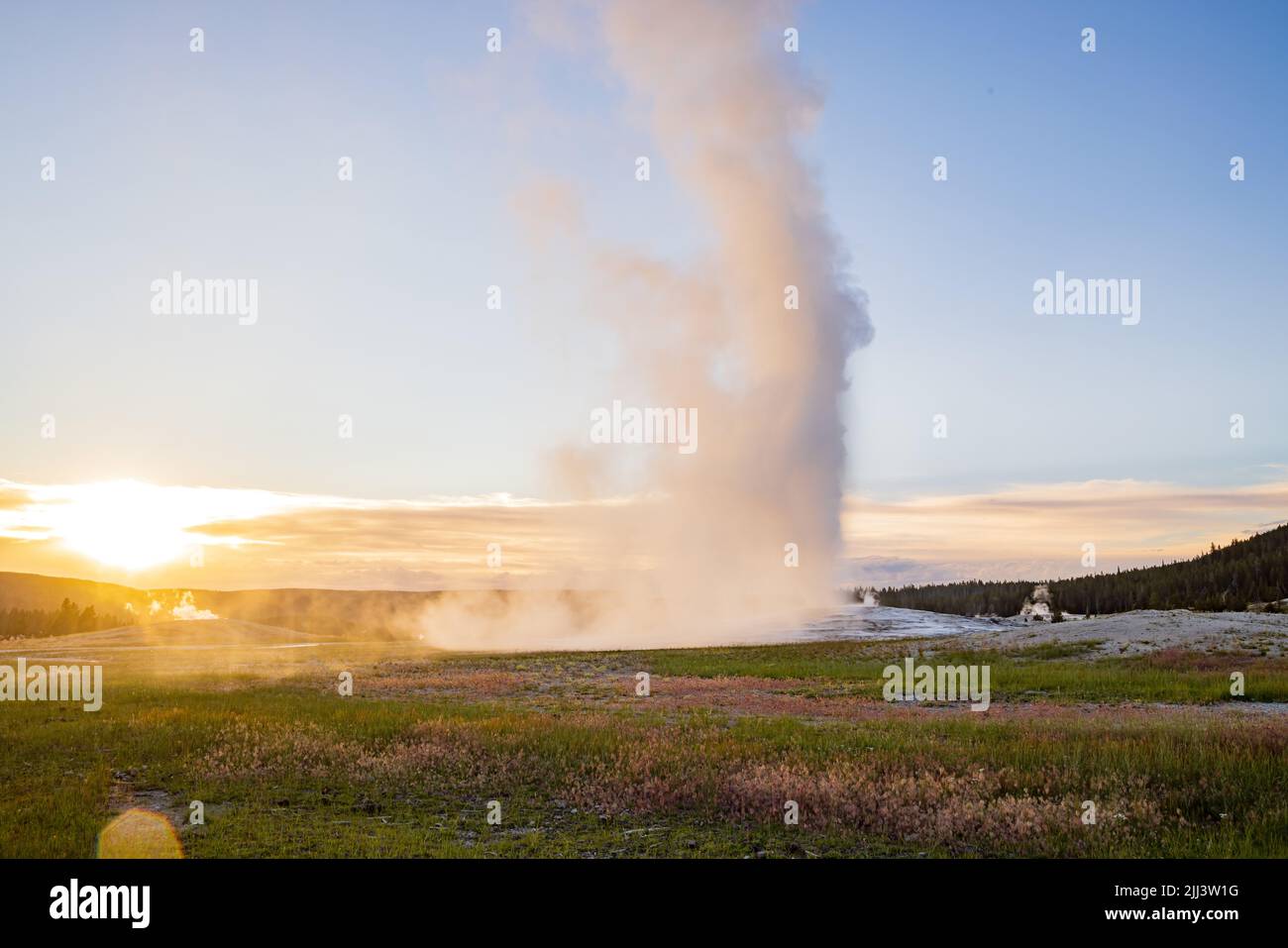 Sunset view of the Old Faithful geyser at Wyoming Stock Photo - Alamy