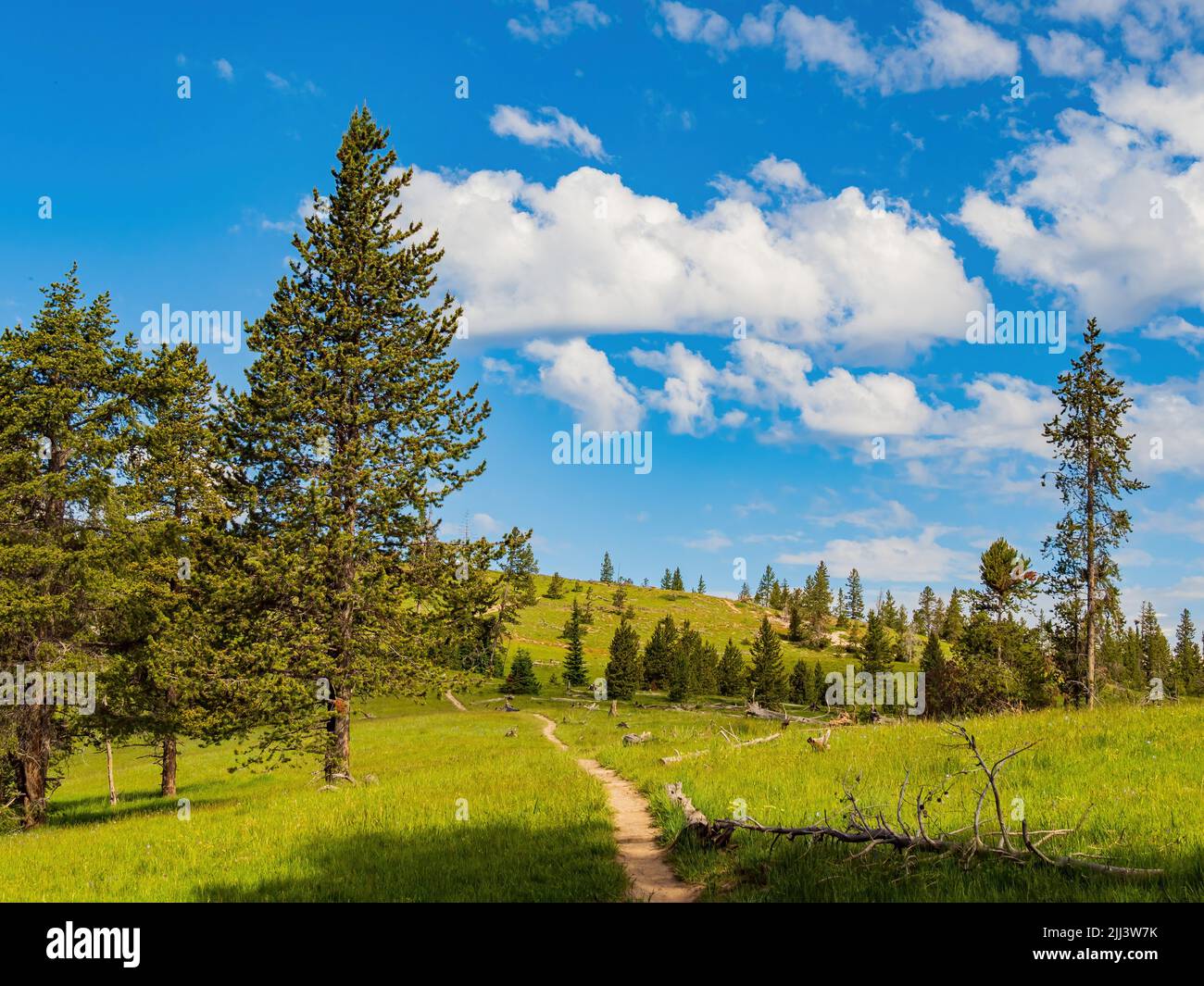 Yellowstone lake overlook trail hi-res stock photography and images - Alamy