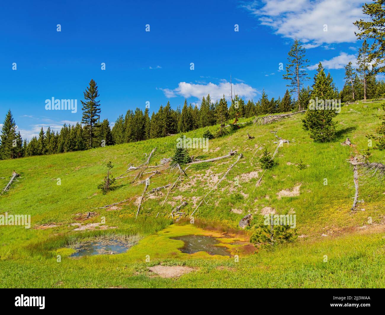 Yellowstone lake overlook trail hi-res stock photography and images - Alamy
