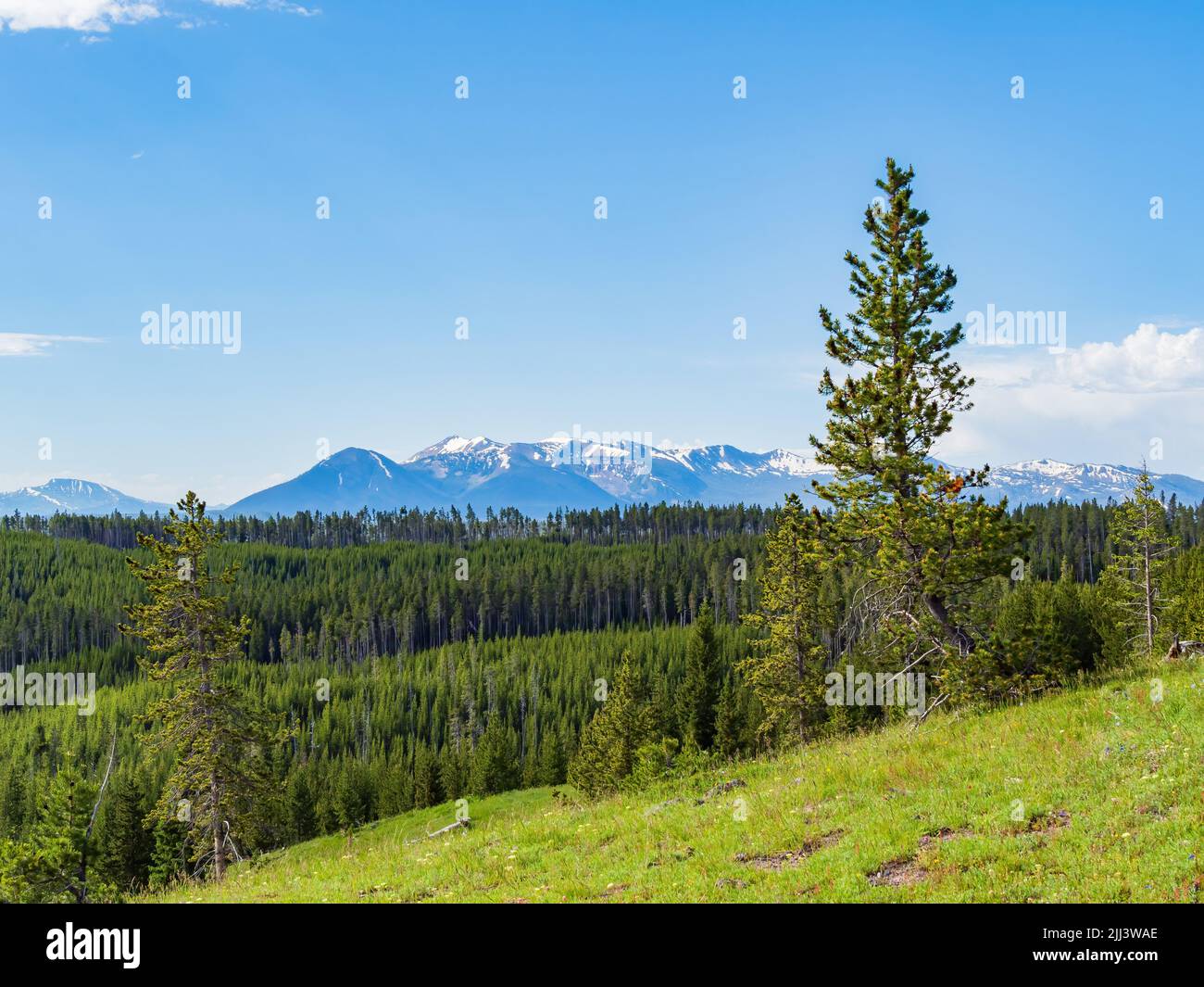 Yellowstone lake overlook trail hi-res stock photography and images - Alamy