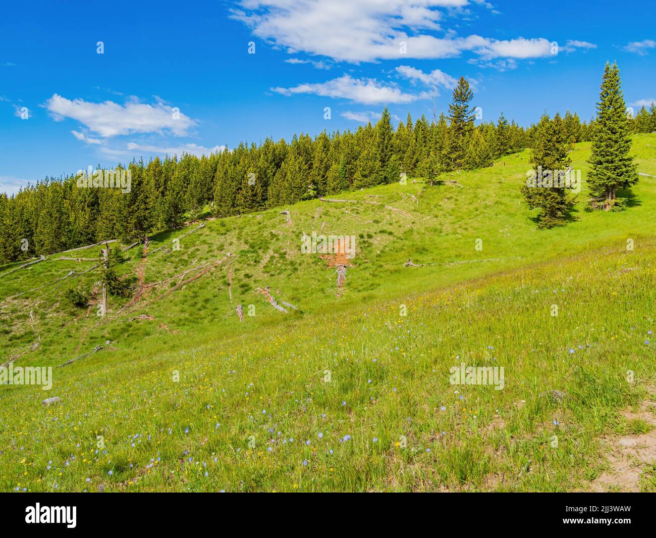 Yellowstone lake overlook trail hi-res stock photography and images - Alamy