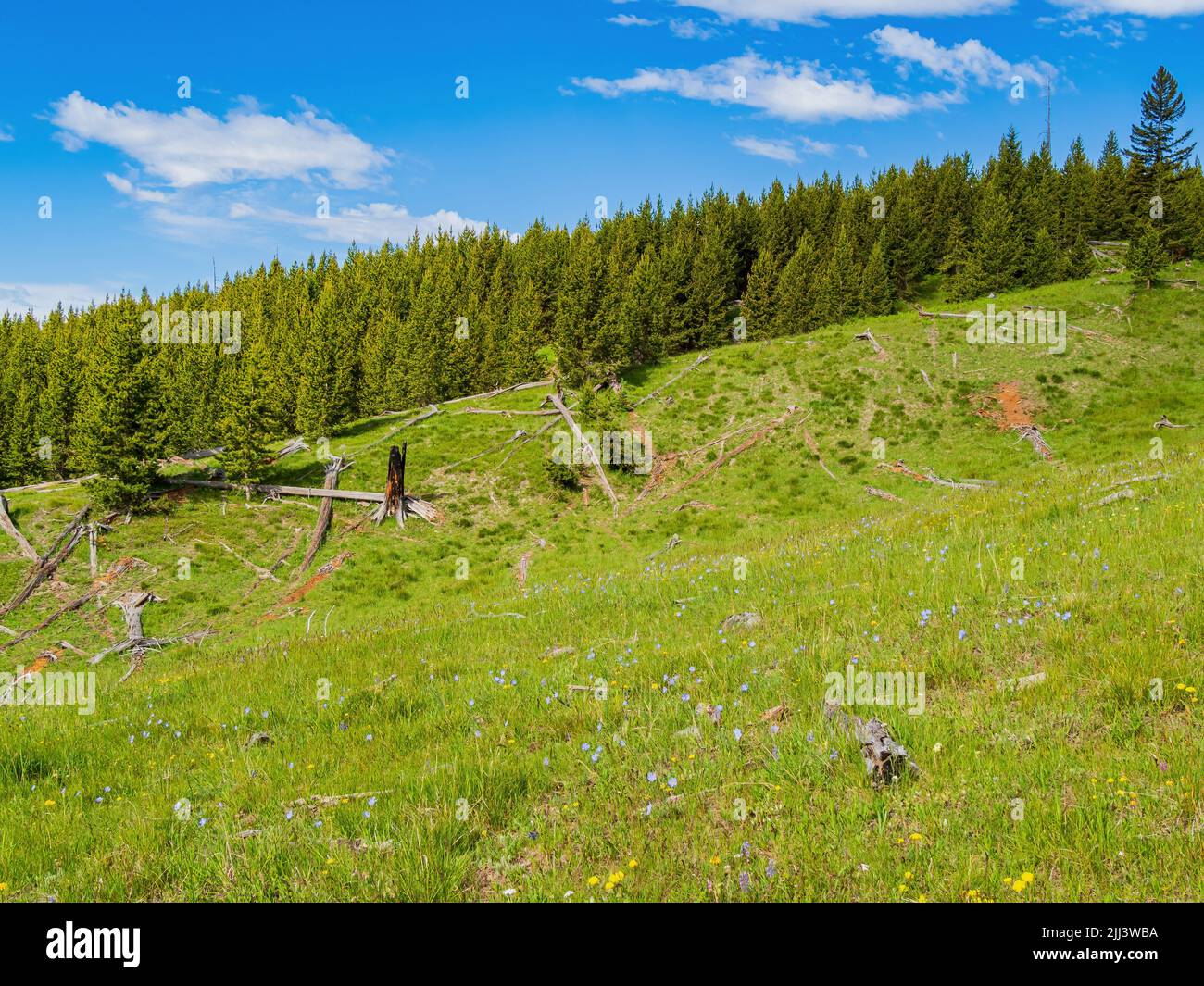Yellowstone lake overlook trail hi-res stock photography and images - Alamy