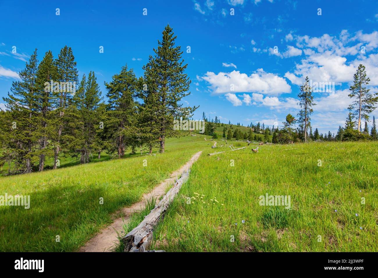 Yellowstone lake overlook trail hi-res stock photography and images - Alamy