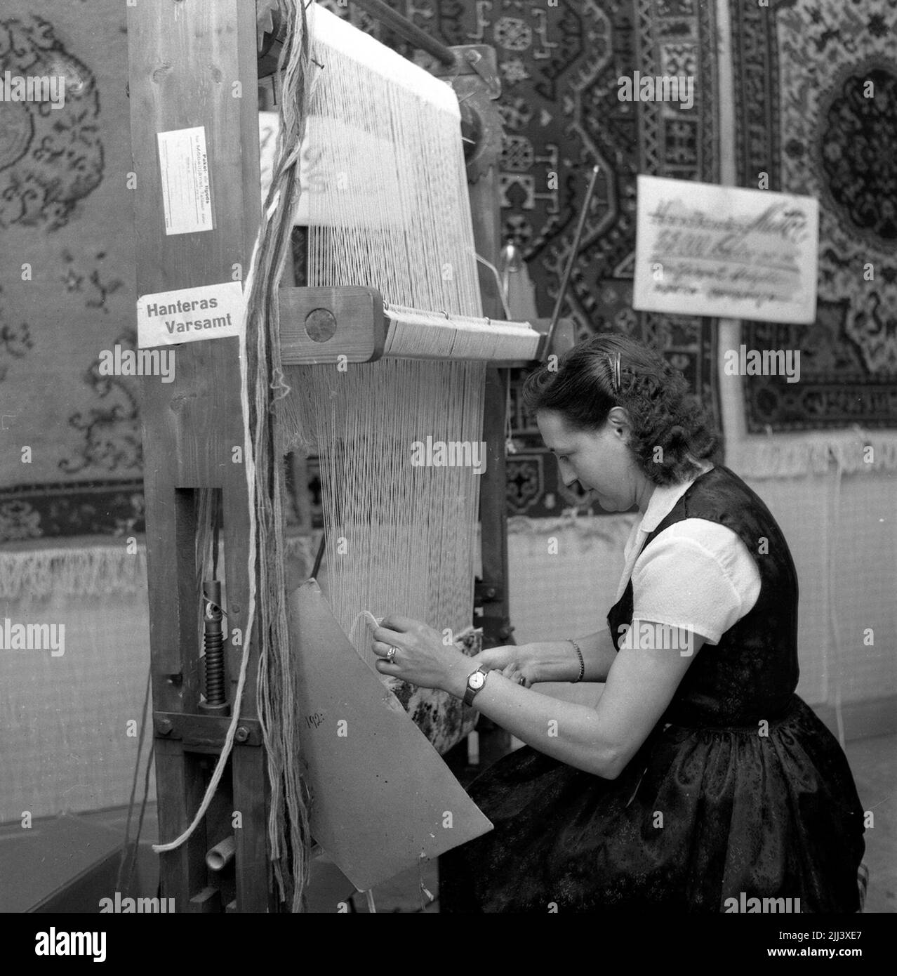 Matton hi-res stock photography and images - Alamy