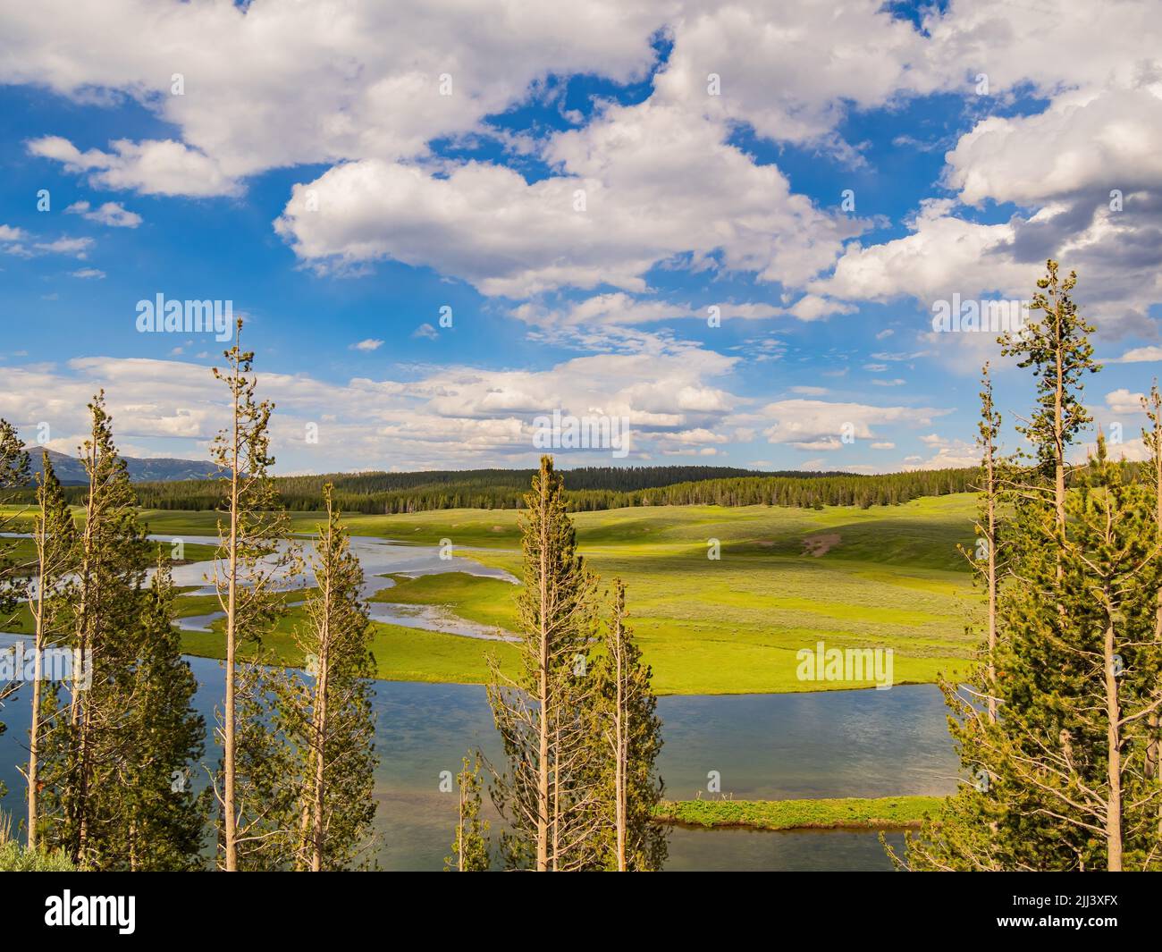 Sunny beautiful Yellowstone River landscape in Yellowstone National ...