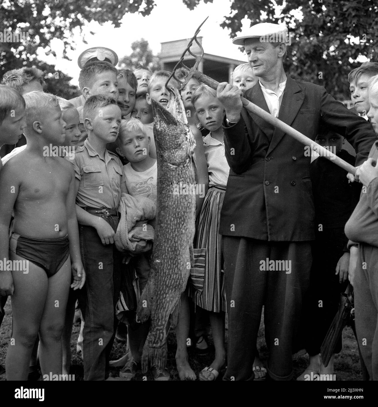 Various pictures, 1958 Stock Photo - Alamy
