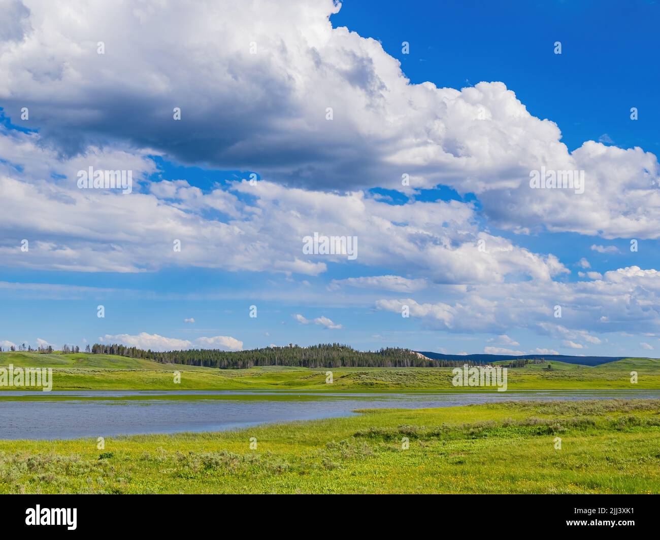 Sunny beautiful Yellowstone River landscape in Yellowstone National ...