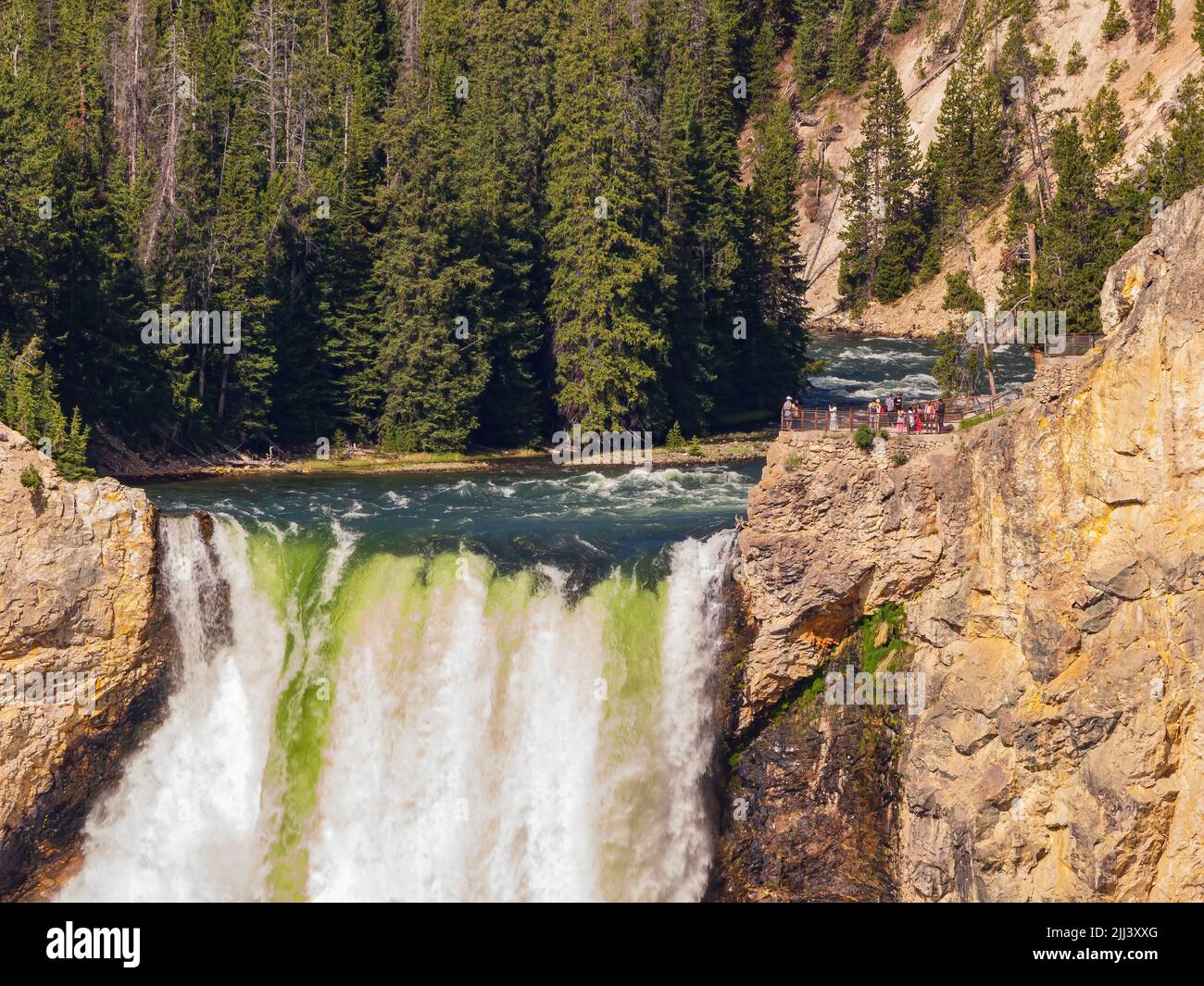 Brink of the Lower Falls vista point of the Yellowstone in Yellowstone National Park at Wyoming ...