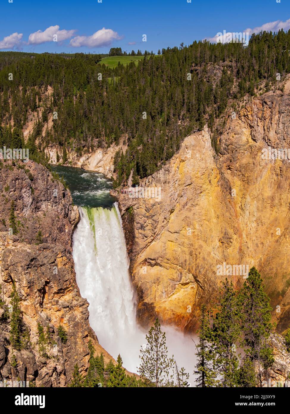Brink of the Lower Falls vista point of the Yellowstone in Yellowstone ...