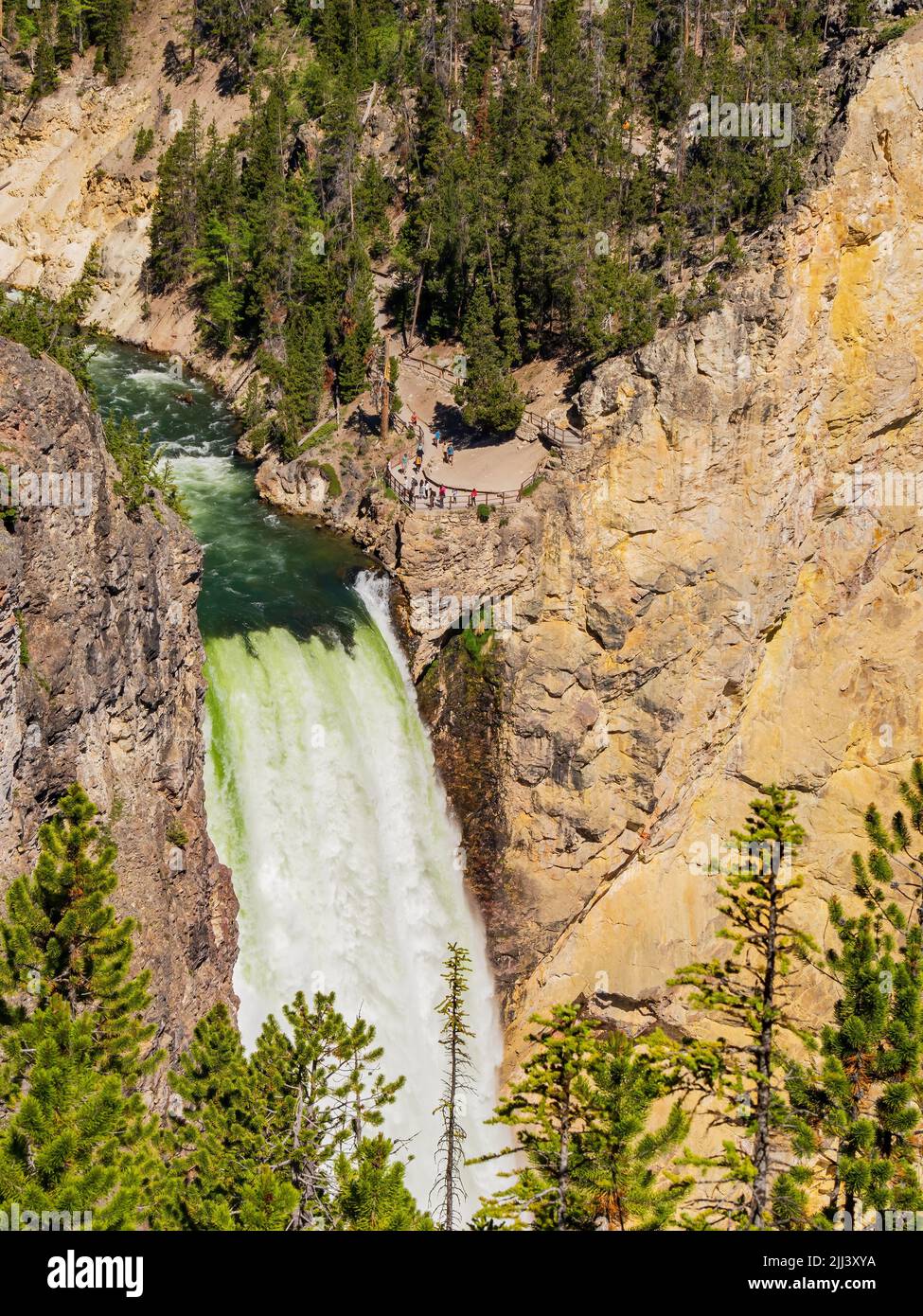 Brink of the Lower Falls vista point of the Yellowstone in Yellowstone National Park at Wyoming ...
